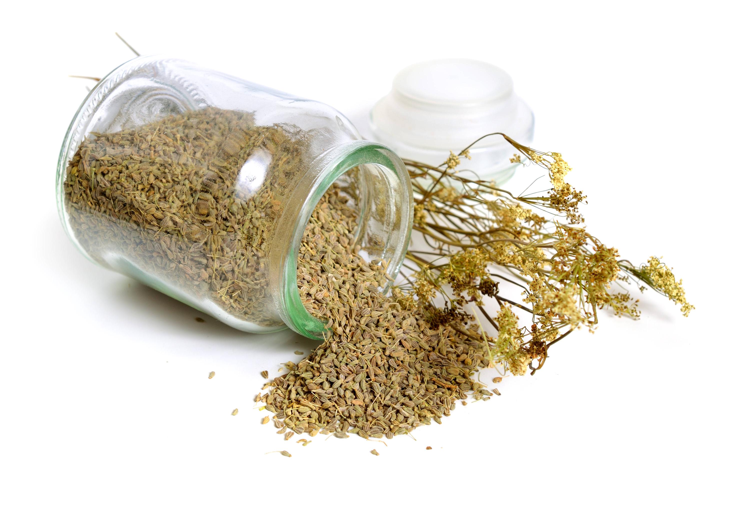 Anise Seeds Non-gmo Shipped With Tracking, Culinary Herb Seeds, Farm-to ...