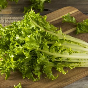 Heirloom Italian Dandelion Catalogna Emerald Endive Seeds, Tracking ...