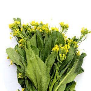 Asian Yu Choy Seeds, Choi Sum, Chinese Flowering Cabbage, Tracking ...