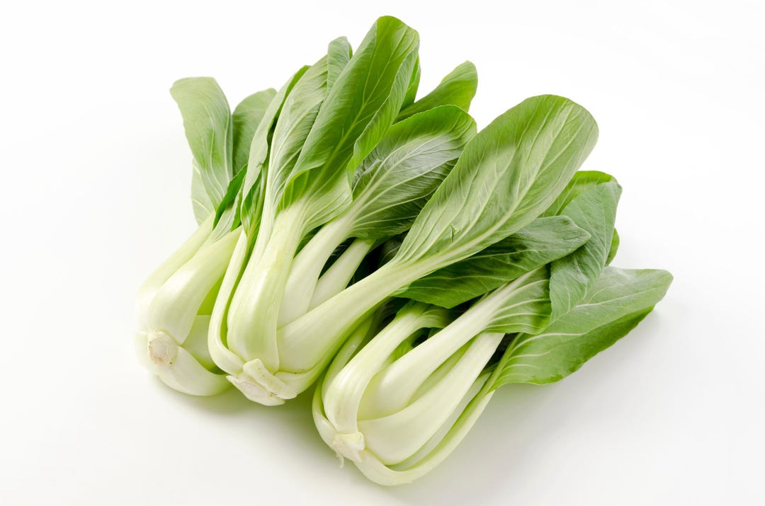Chinese White Stem Pak Choi Bok Choy Seeds, Non-gmo, Shipped With ...