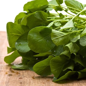 Heirloom Upland Cress Seeds, Creasy Greens Non-gmo, Fast Shipping With ...