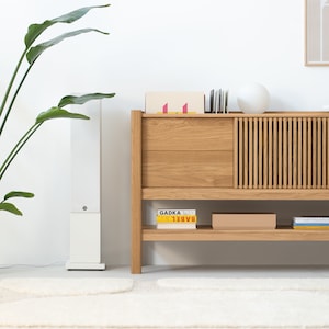 JAMM - Record Player Stand, Vinyl Record Storage Made of Solid Oak Wood ...
