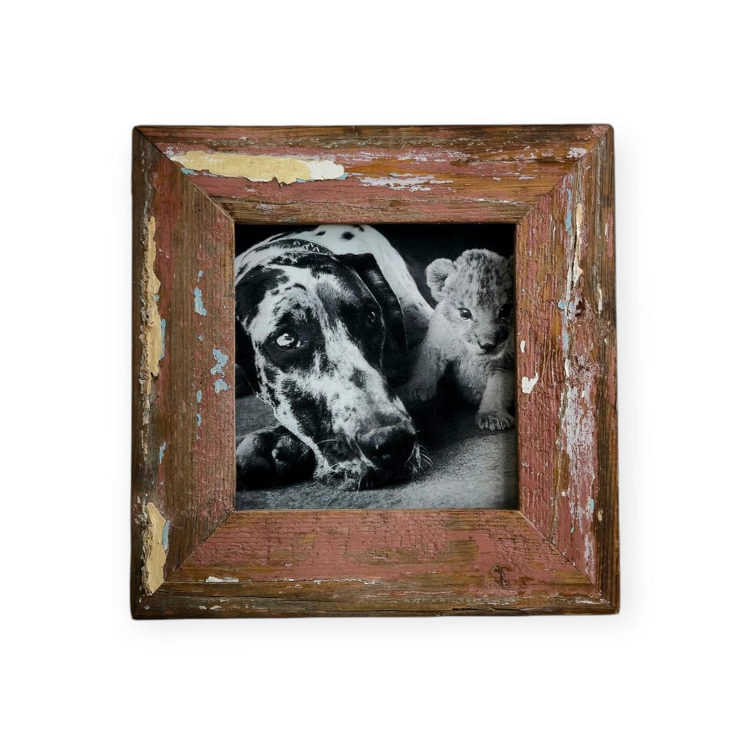 6x6 Chippy Paint Photo Frame: Reclaimed Wood, Shabby Chic Decor - Etsy