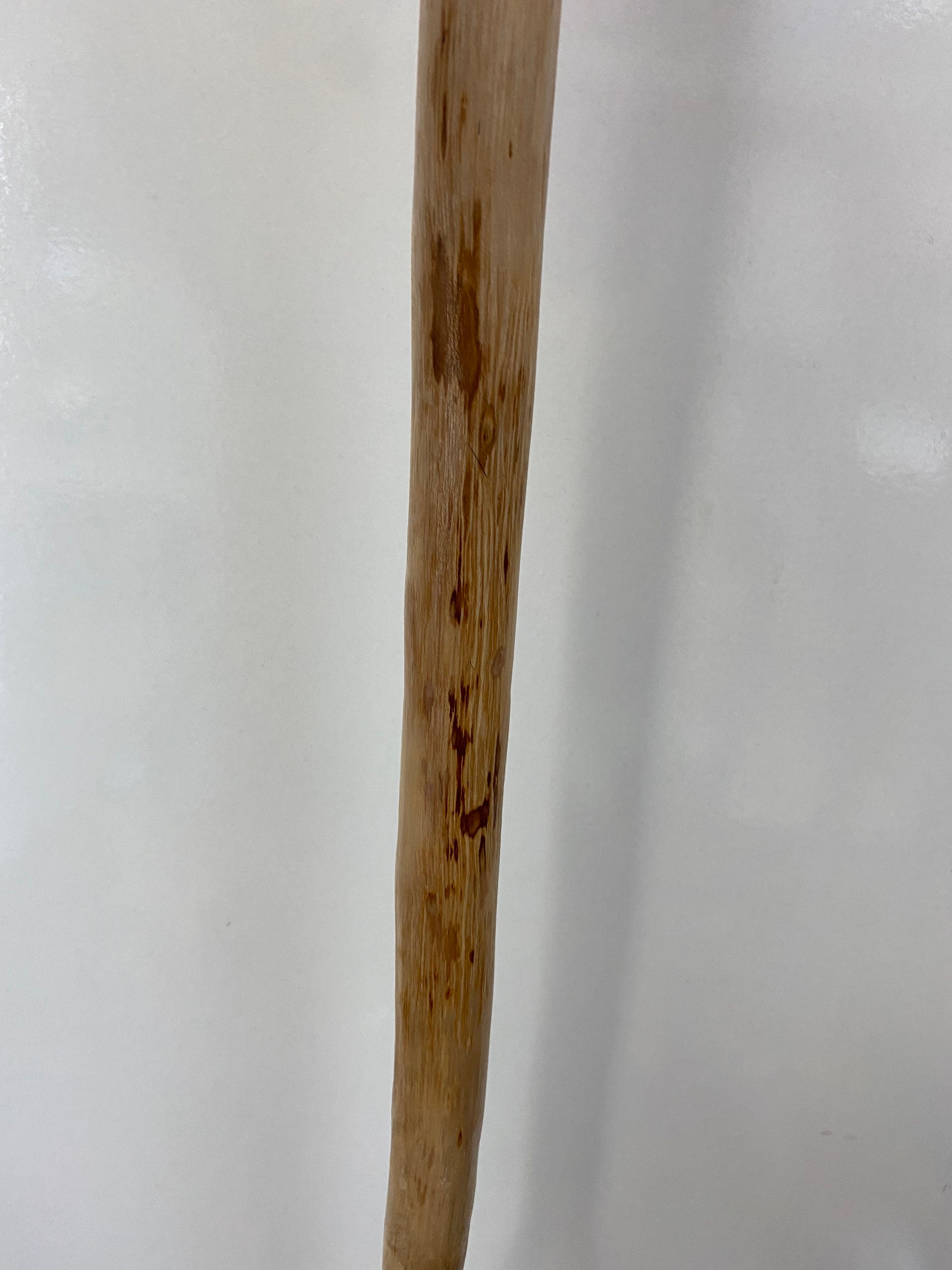 Hand Made Cane With Deer Head and Bison Handle Carvings From - Etsy UK