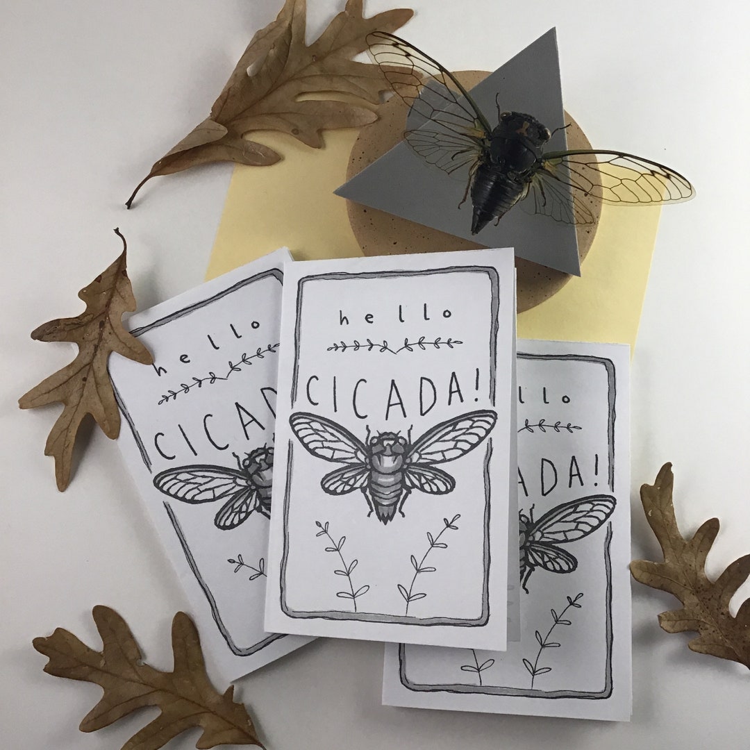 Hello Cicada Info Zine - Etsy