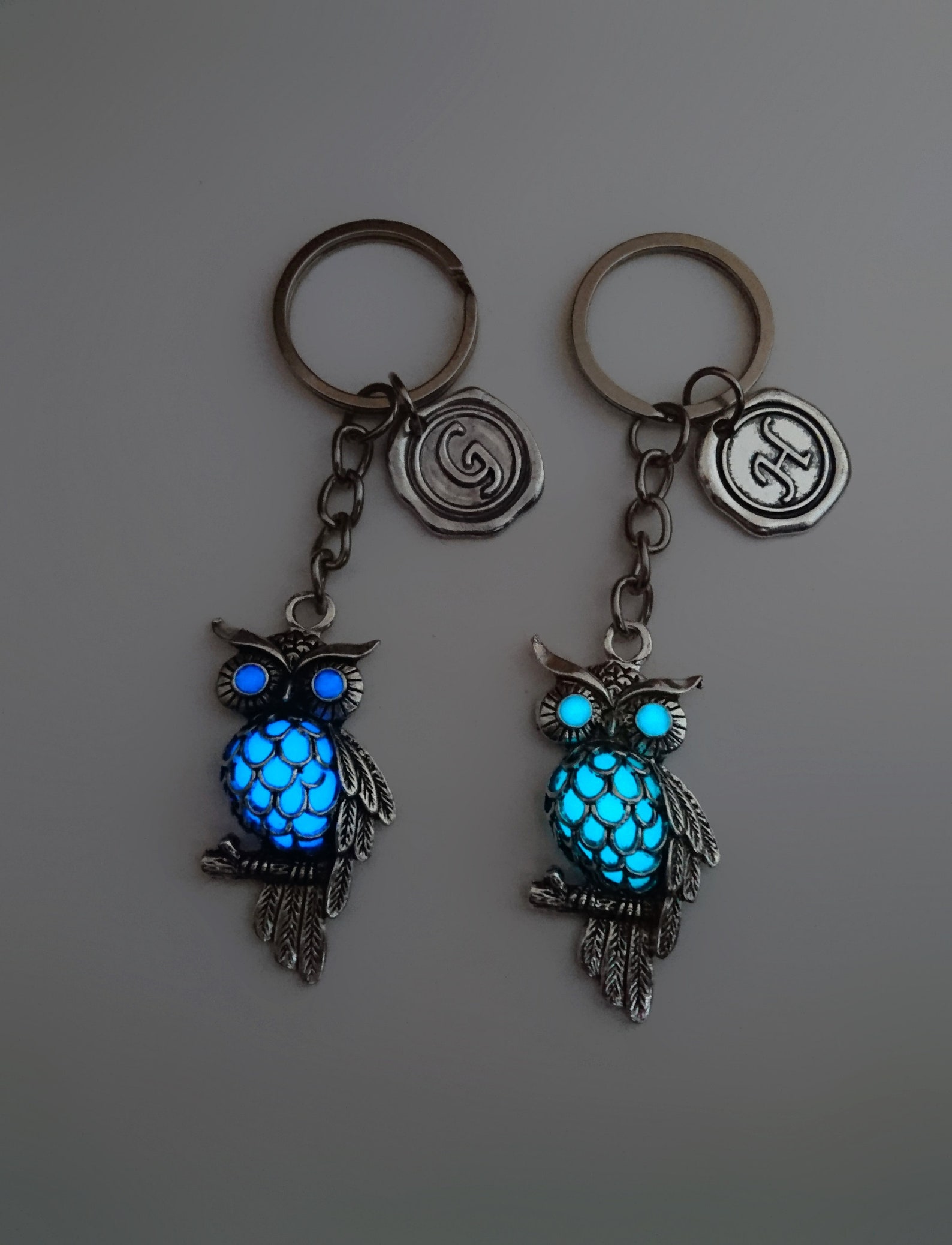 Owl Key Chain Gifts Glow in the Dark Owl Gift for Her - Etsy UK