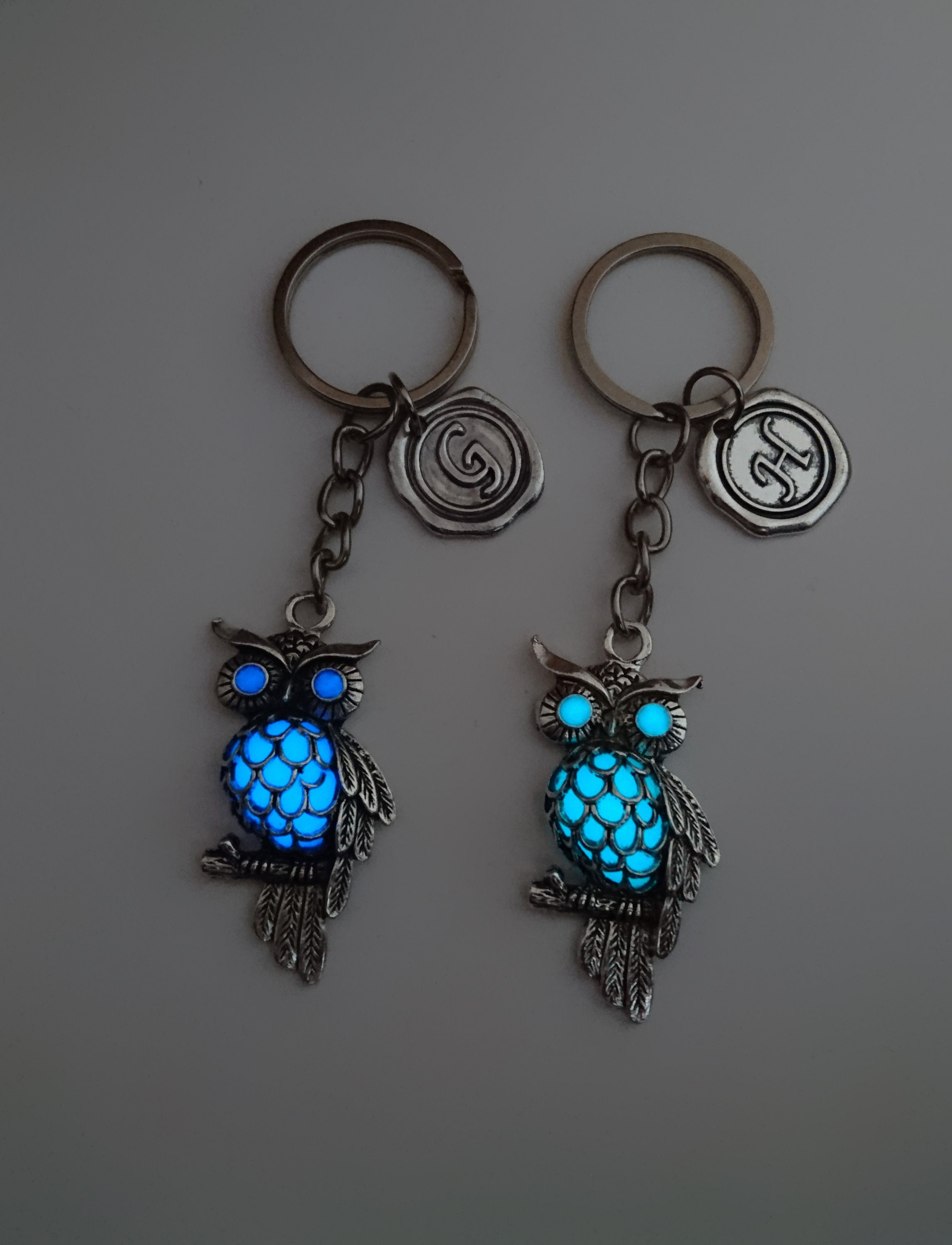Owl Key Chain Gifts Glow in the Dark Owl Gift for Her - Etsy UK