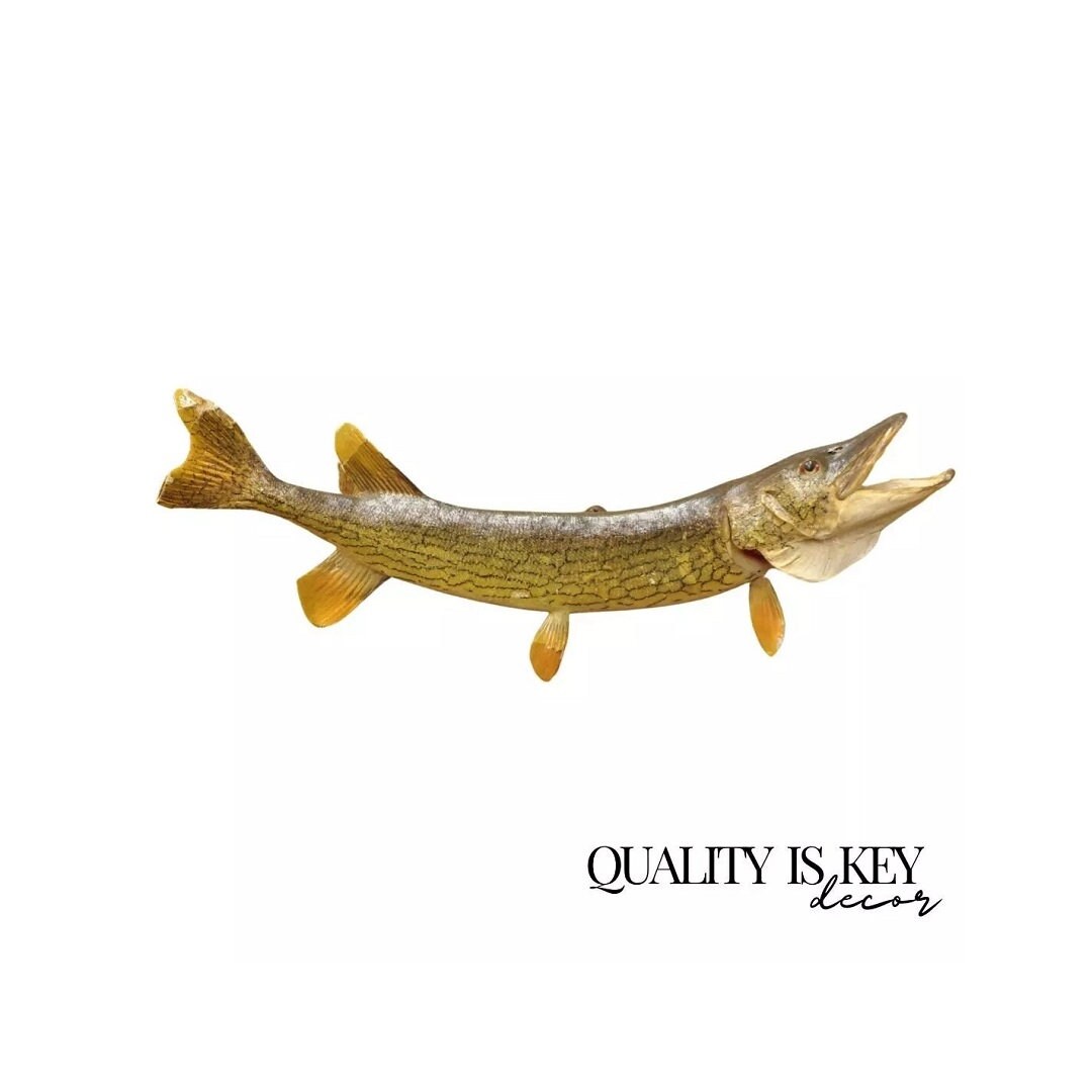 Vintage Northern Pike Wall Mount Taxidermy Real Skin Fishing Wall Decor ...