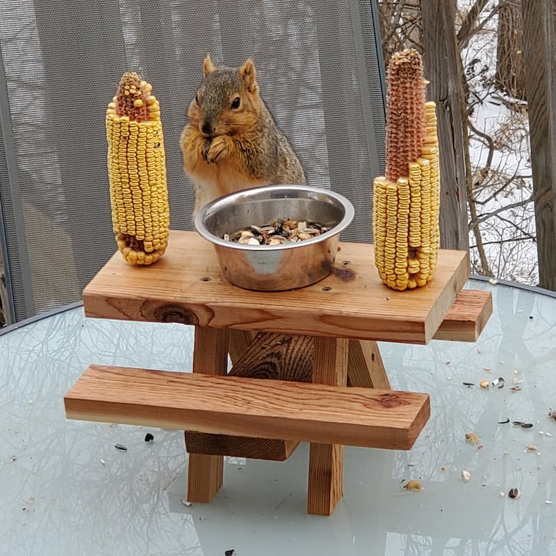 Squirrel Bench - Etsy