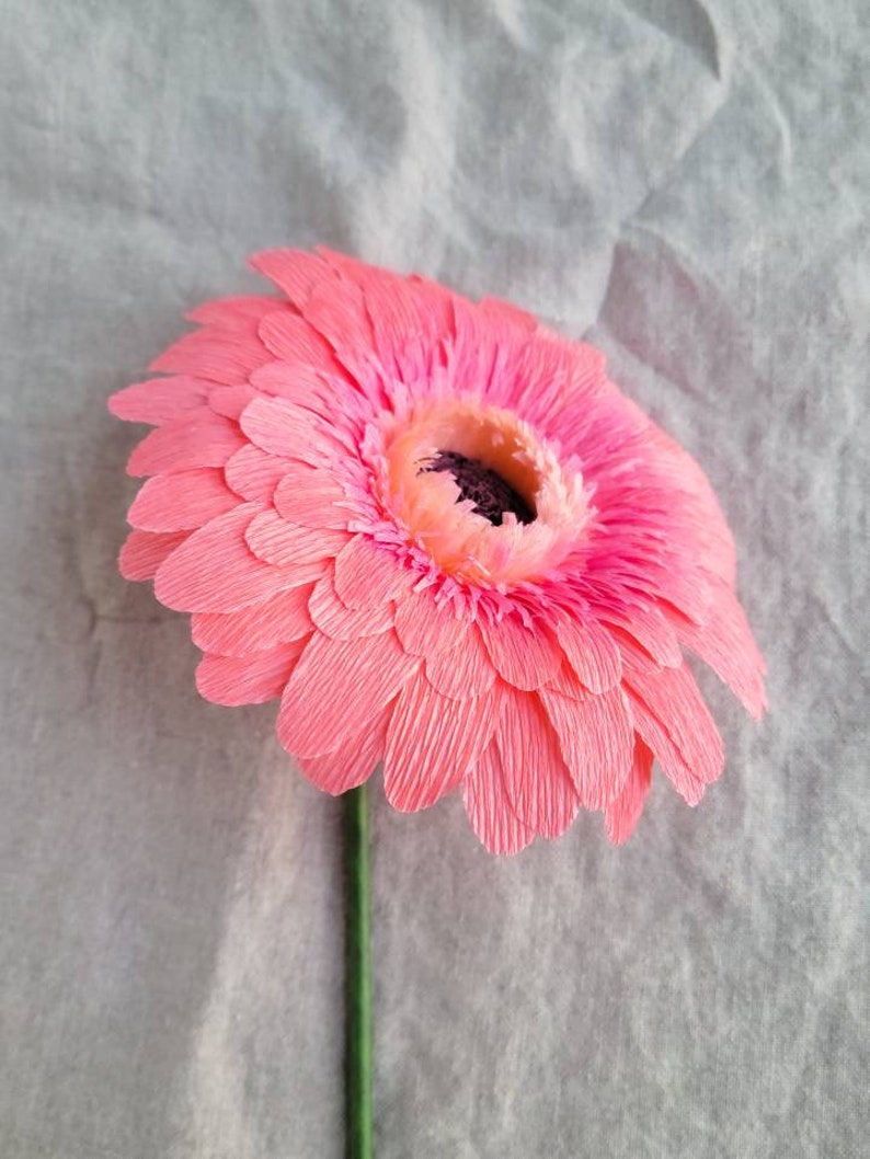 Single Stem Crepe Paper Gerber Daisy Pink Daisy Crepe Paper - Etsy