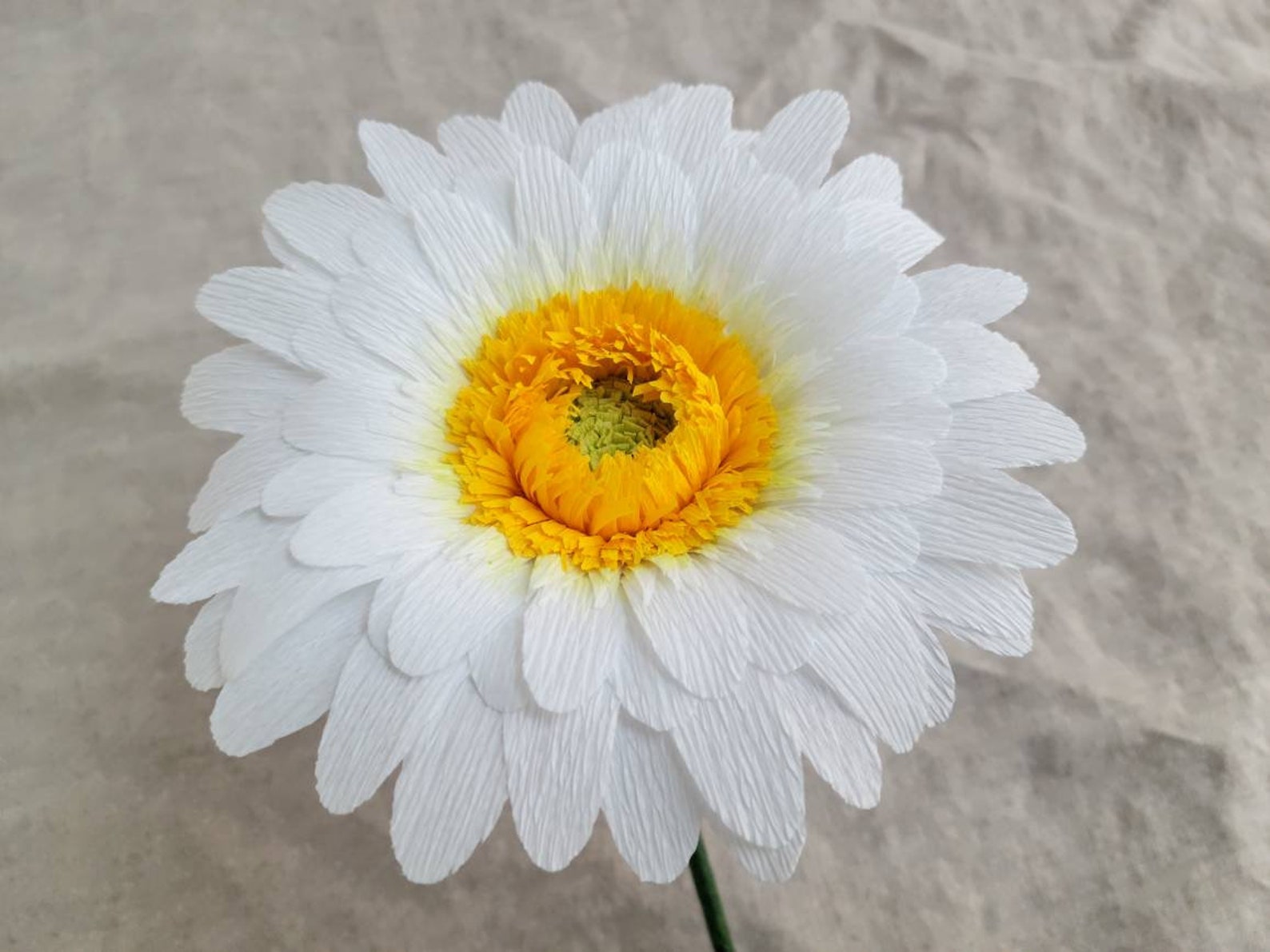 Single Stem Crepe Paper Gerber Daisy Pink Daisy Crepe Paper - Etsy