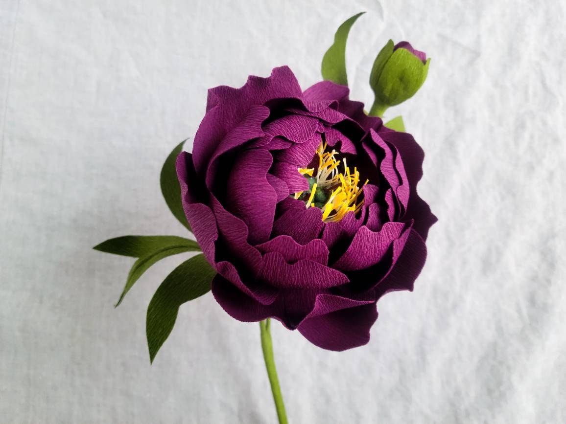 Crepe Paper Iris Flower — Franky & J.