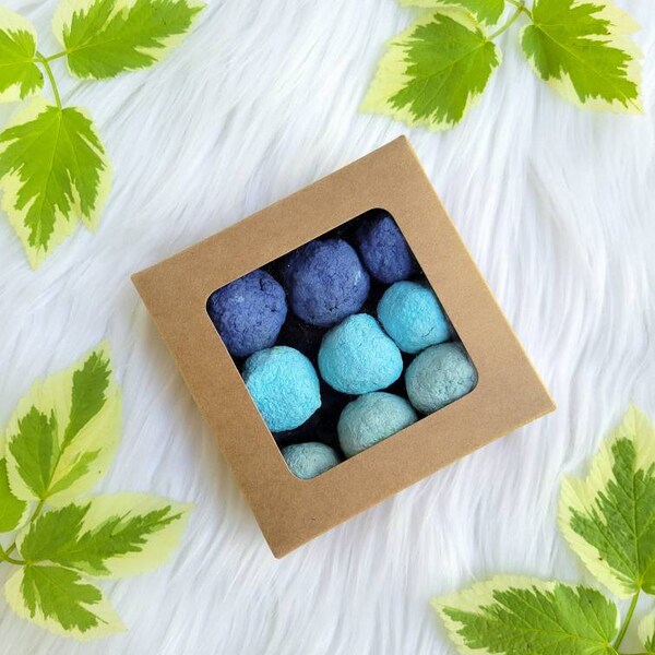 Wildflower Seed Bomb - Etsy