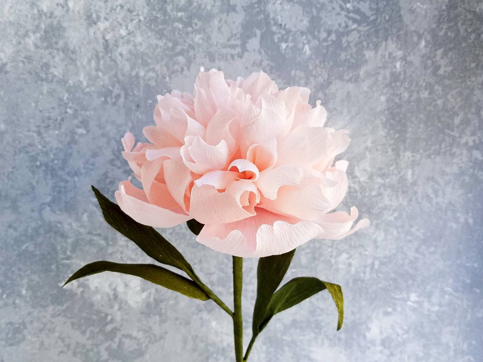 Large Crepe Paper Bomb Peony Flower Single Stem Peony - Etsy