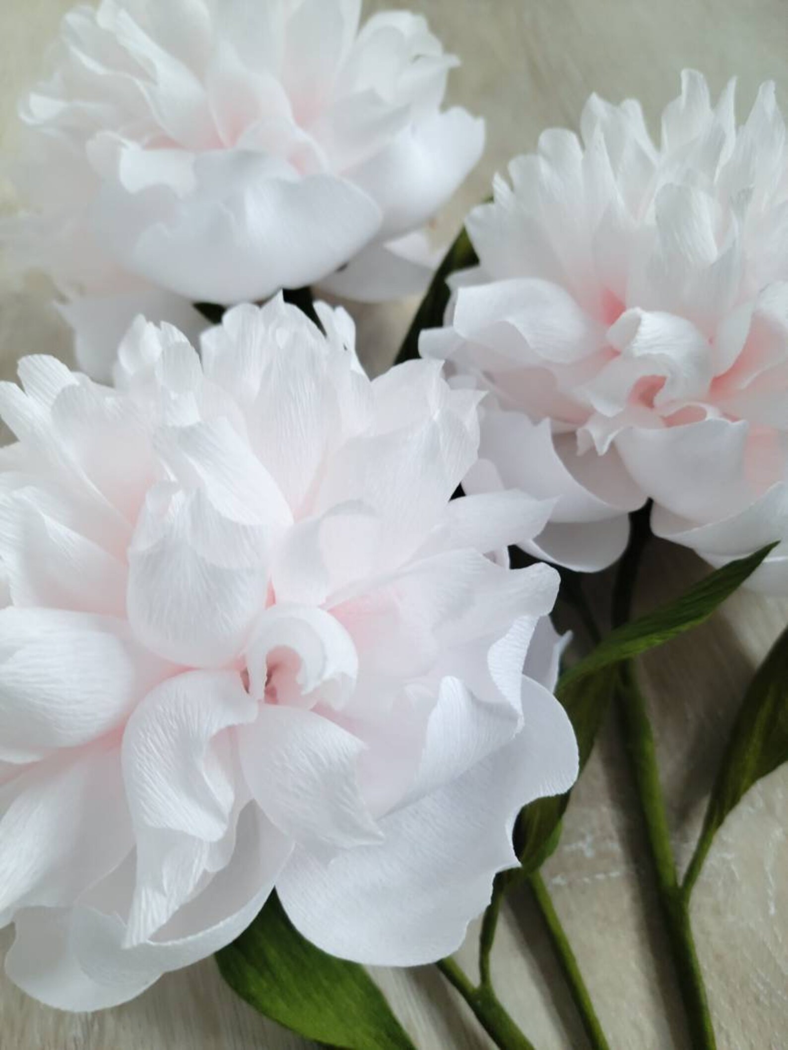 Large Crepe Paper Bomb Peony Flower Single Stem Peony - Etsy