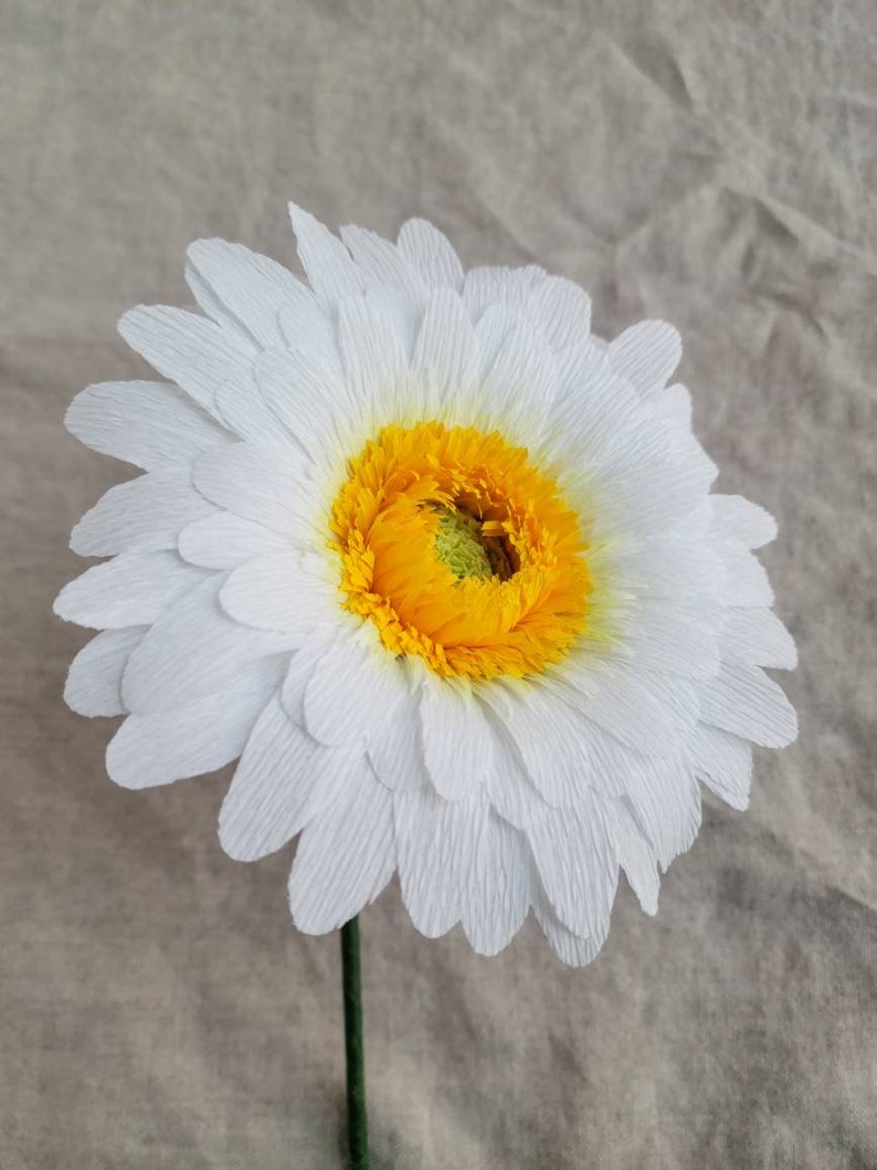 Single Stem Crepe Paper Gerber Daisy Pink Daisy Crepe Paper - Etsy