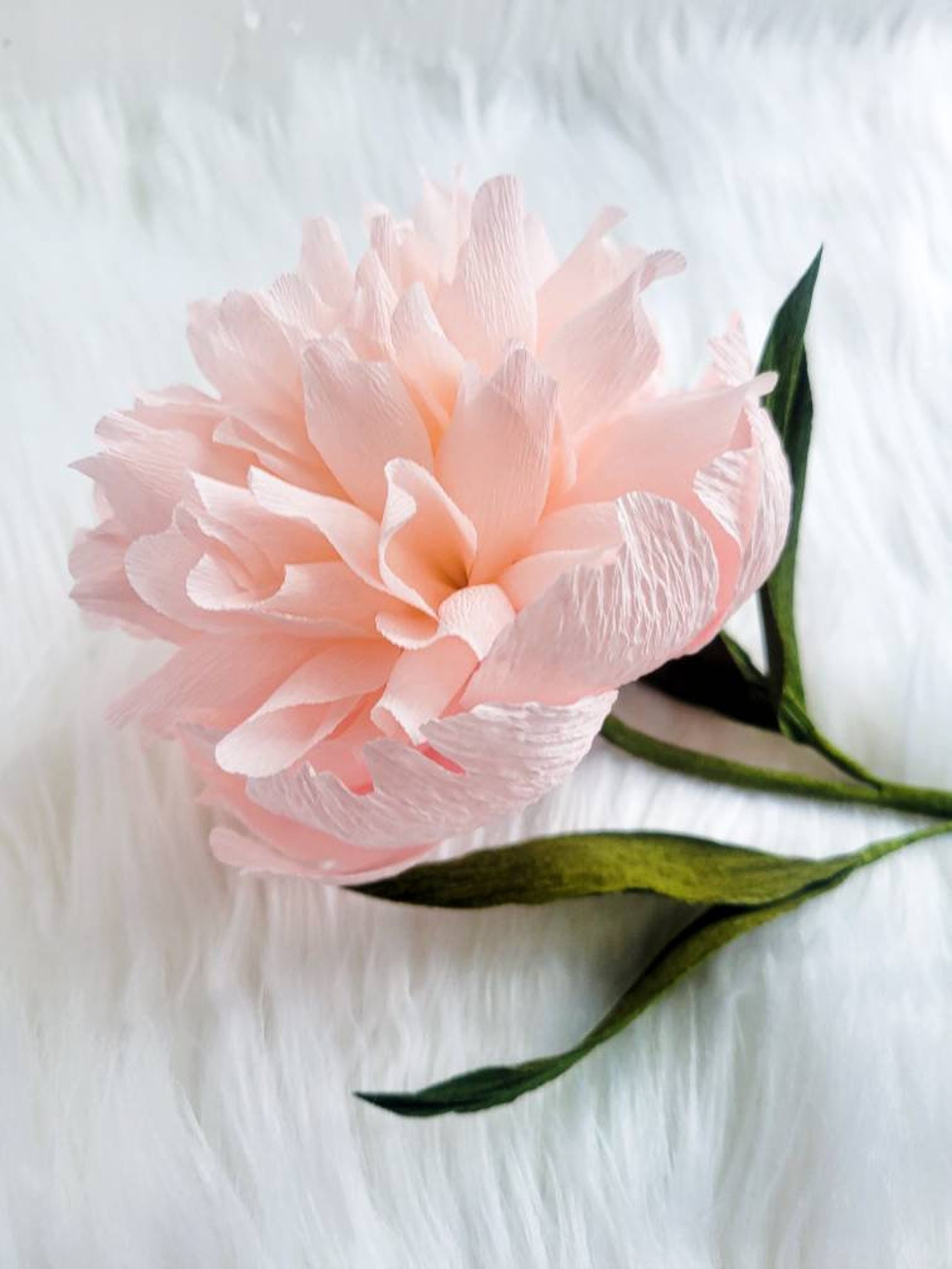 Large Crepe Paper Bomb Peony Flower Single Stem Peony - Etsy