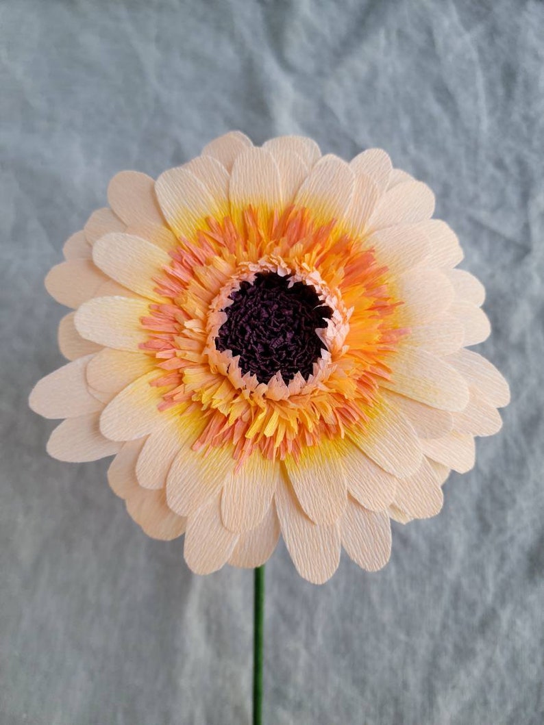 Single Stem Crepe Paper Gerber Daisy Pink Daisy Crepe Paper - Etsy