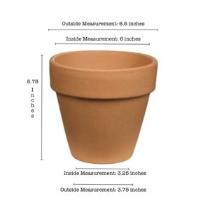 Criss Cross Hand Painted Terra Cotta Pot, Indoor Planter With Drainage ...