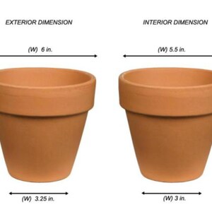 Criss Cross Hand Painted Terra Cotta Pot, Indoor Planter With Drainage ...