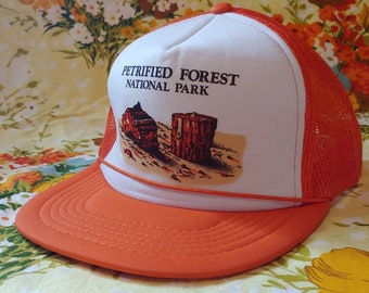 Petrified Forest Hat | Etsy