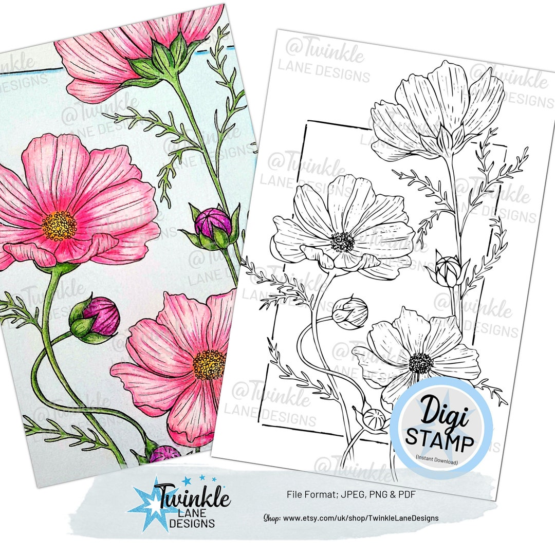 Framed Cosmos Flowers, Digi Stamp - Etsy