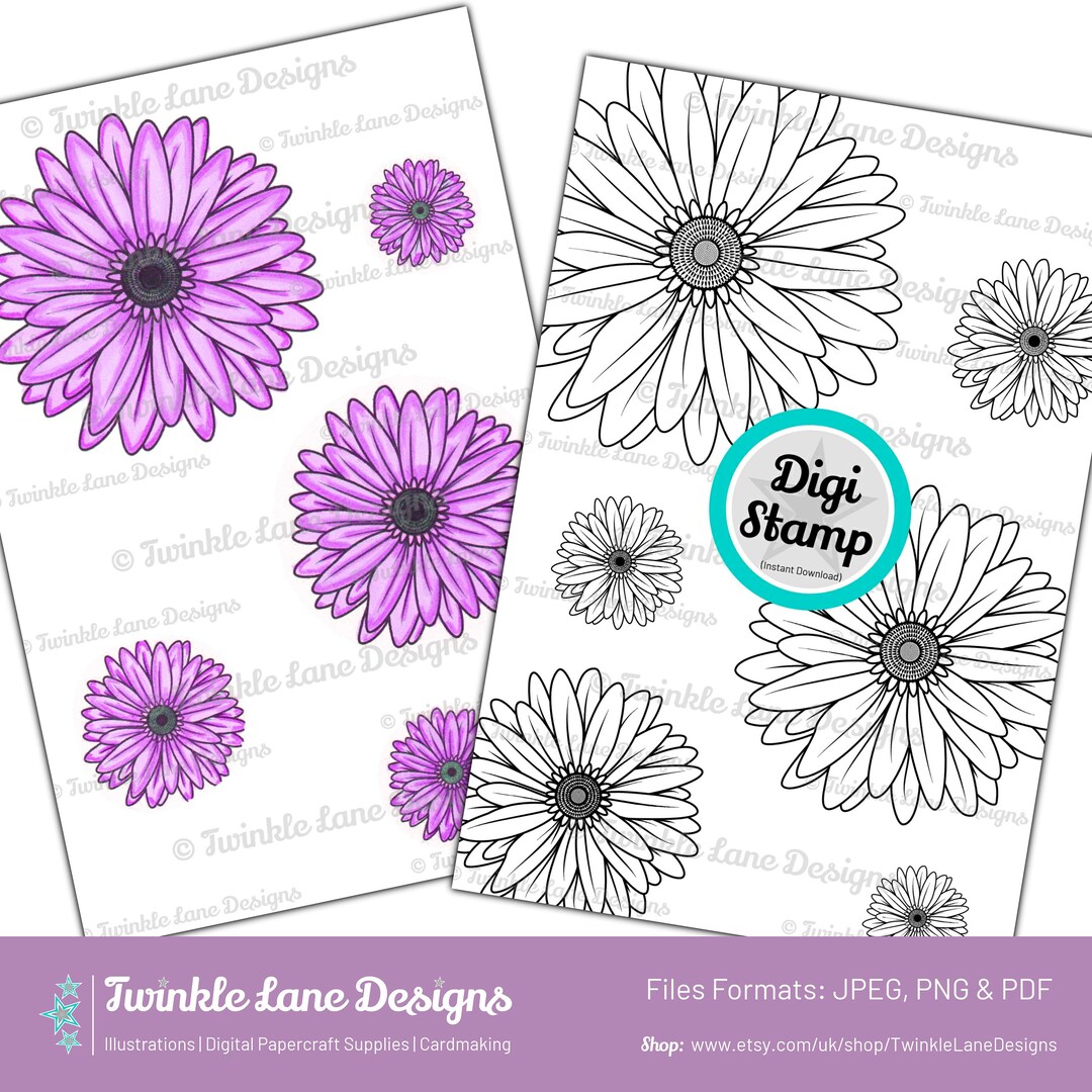 Digi Stamp Daisies, Daisy Flower Set Instant Download - Etsy