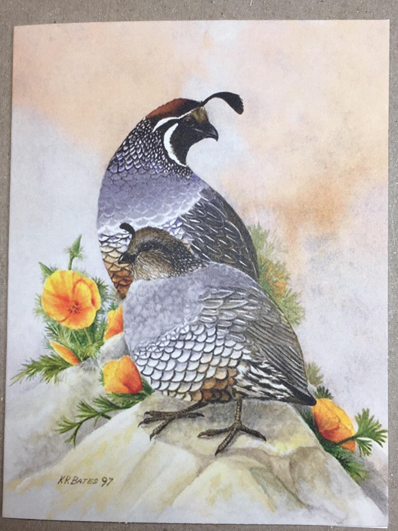 California Quail and Poppies Blank Note Cards Set of 8 - Etsy