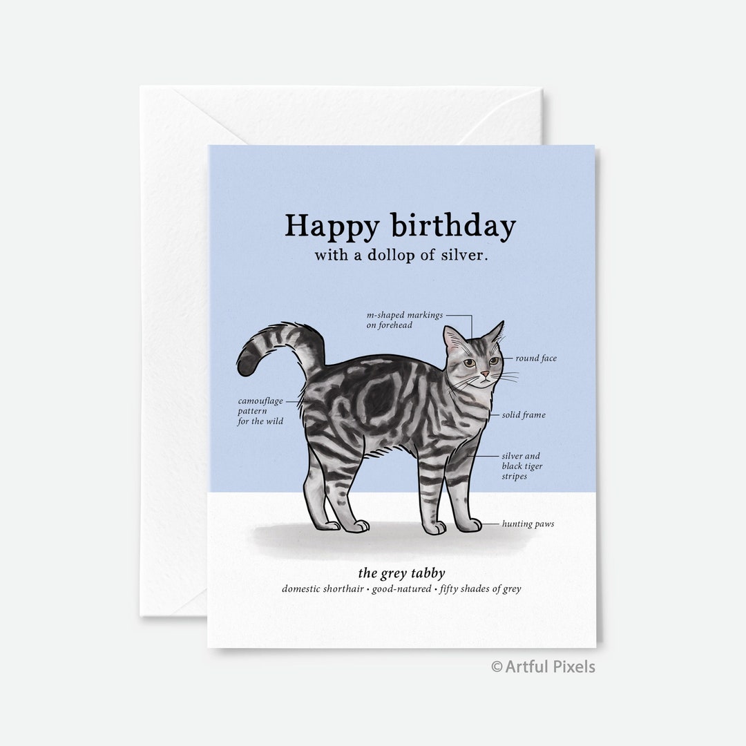 Grey Tabby Cat Birthday Card, Funny Tabby Greeting Card, Silver Tabby ...