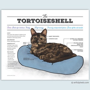 Tortoiseshell Cat Art, Tortie Cat Poster, Cat Breed Artwork, Funny Gift ...