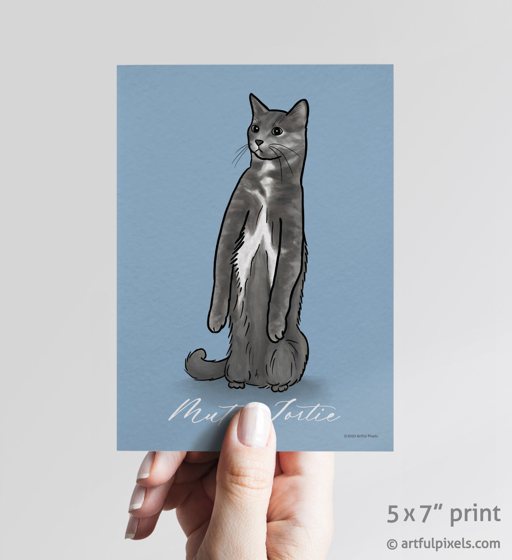 Dilute Tortie Grey Cat Art Muted Tortoiseshell Cat Artwork - Etsy UK