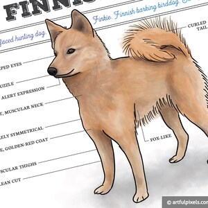Finnish Spitz Dog Breed Wall Art, Finkie Art Print, Cute Dog Lover Gift ...