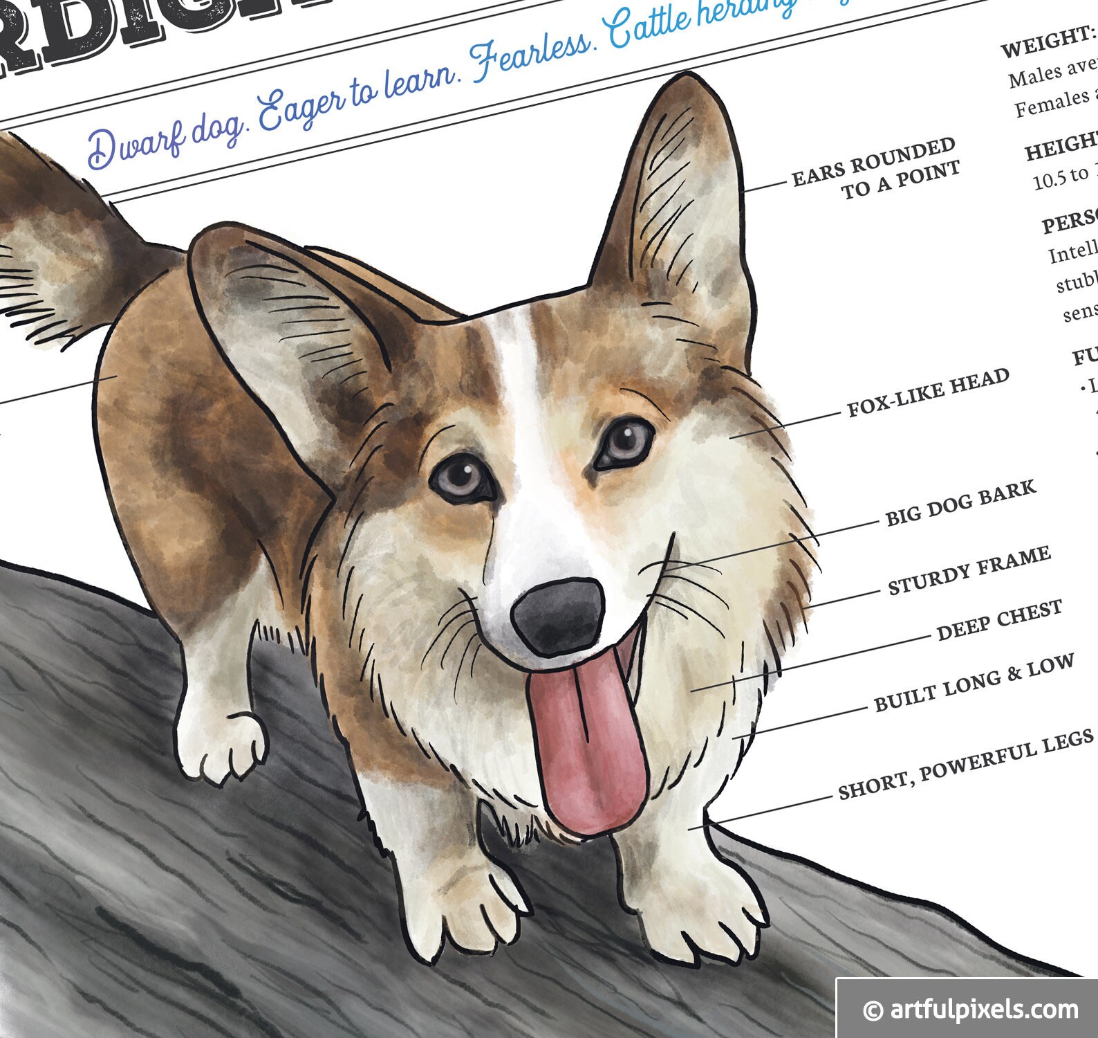 Corgi Dog Poster Cardigan Welsh Corgi Wall Art Corgi Gifts - Etsy