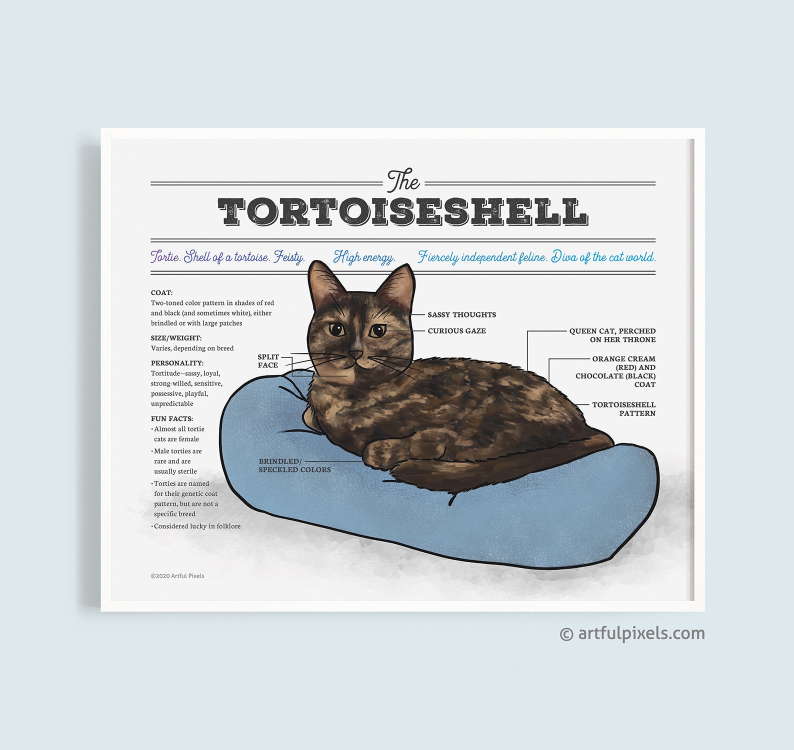 Tortoiseshell Cat Art, Tortie Cat Poster, Cat Breed Artwork, Funny Gift ...
