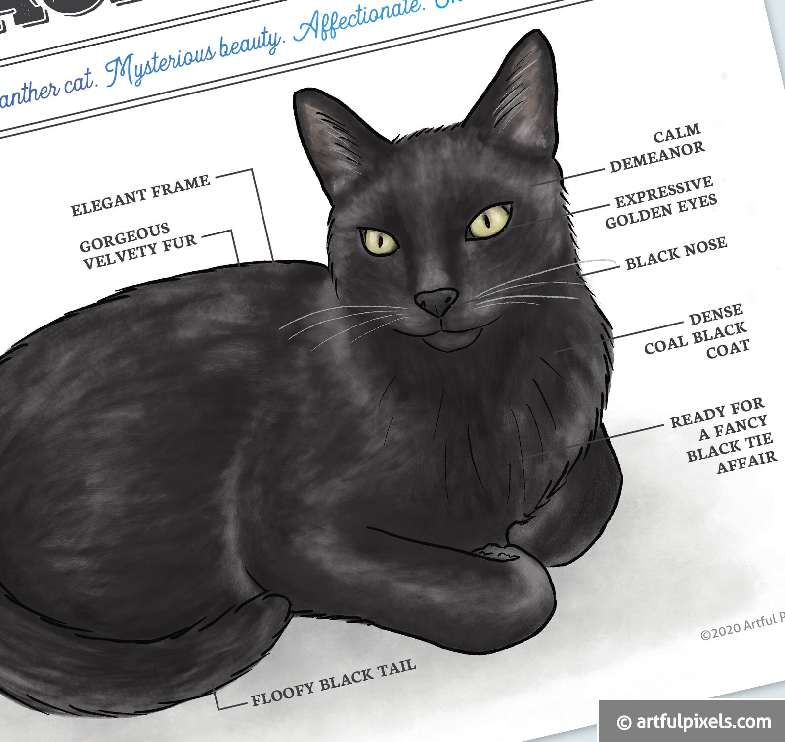 Black Cat Art Cute Cat Chart Infographic Poster Cat Lover - Etsy