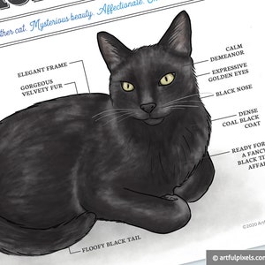 Black Cat Art, Cute Cat Chart Infographic Poster, Cat Lover, Gifts for ...