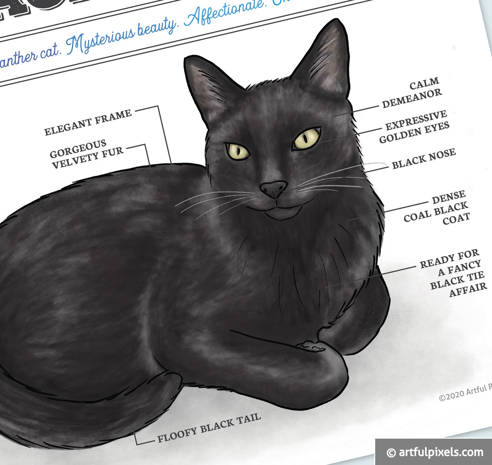 Black Cat Art Cute Cat Chart Infographic Poster Cat Lover - Etsy