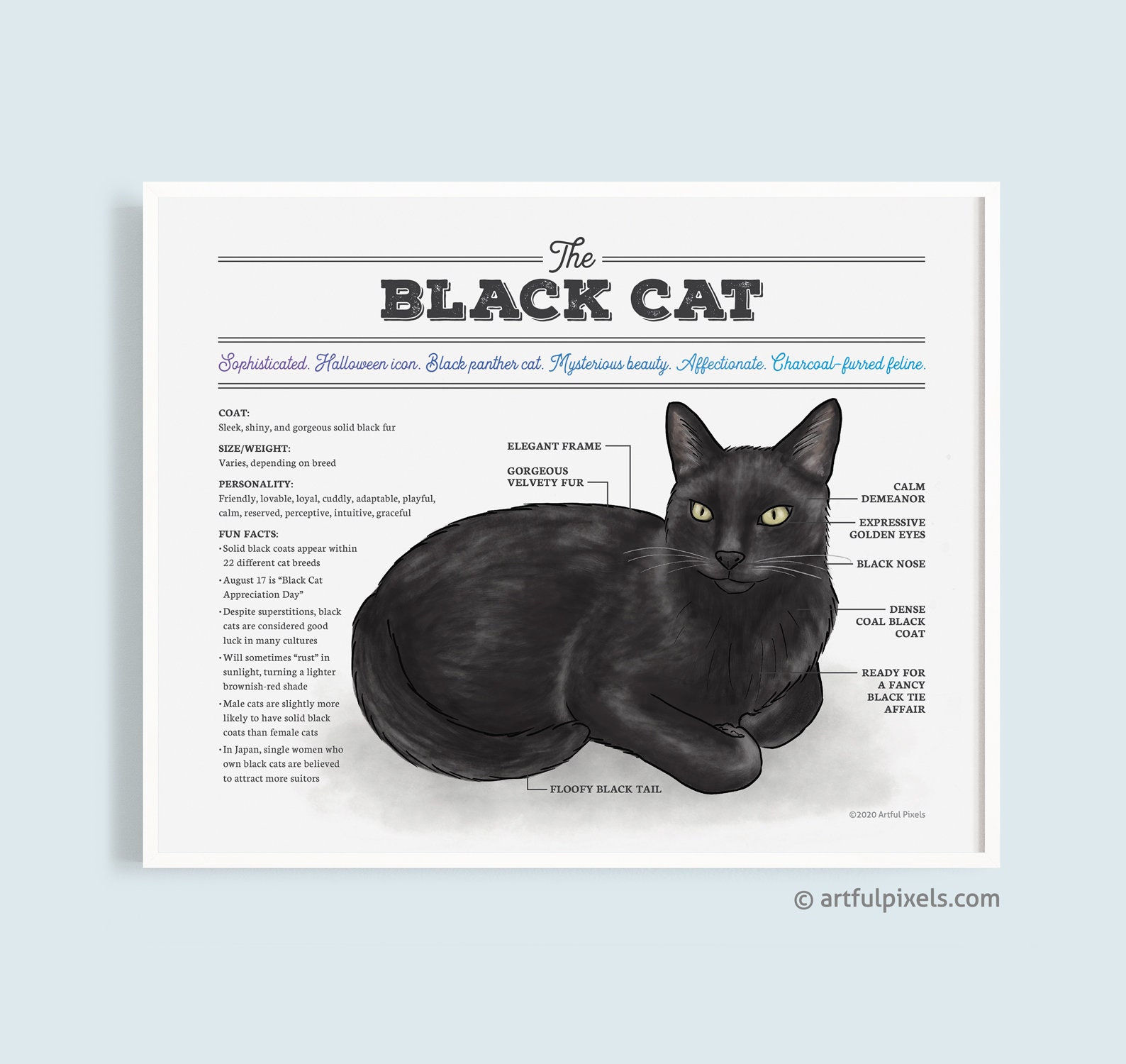Black Cat Art Cute Cat Chart Infographic Poster Cat Lover - Etsy