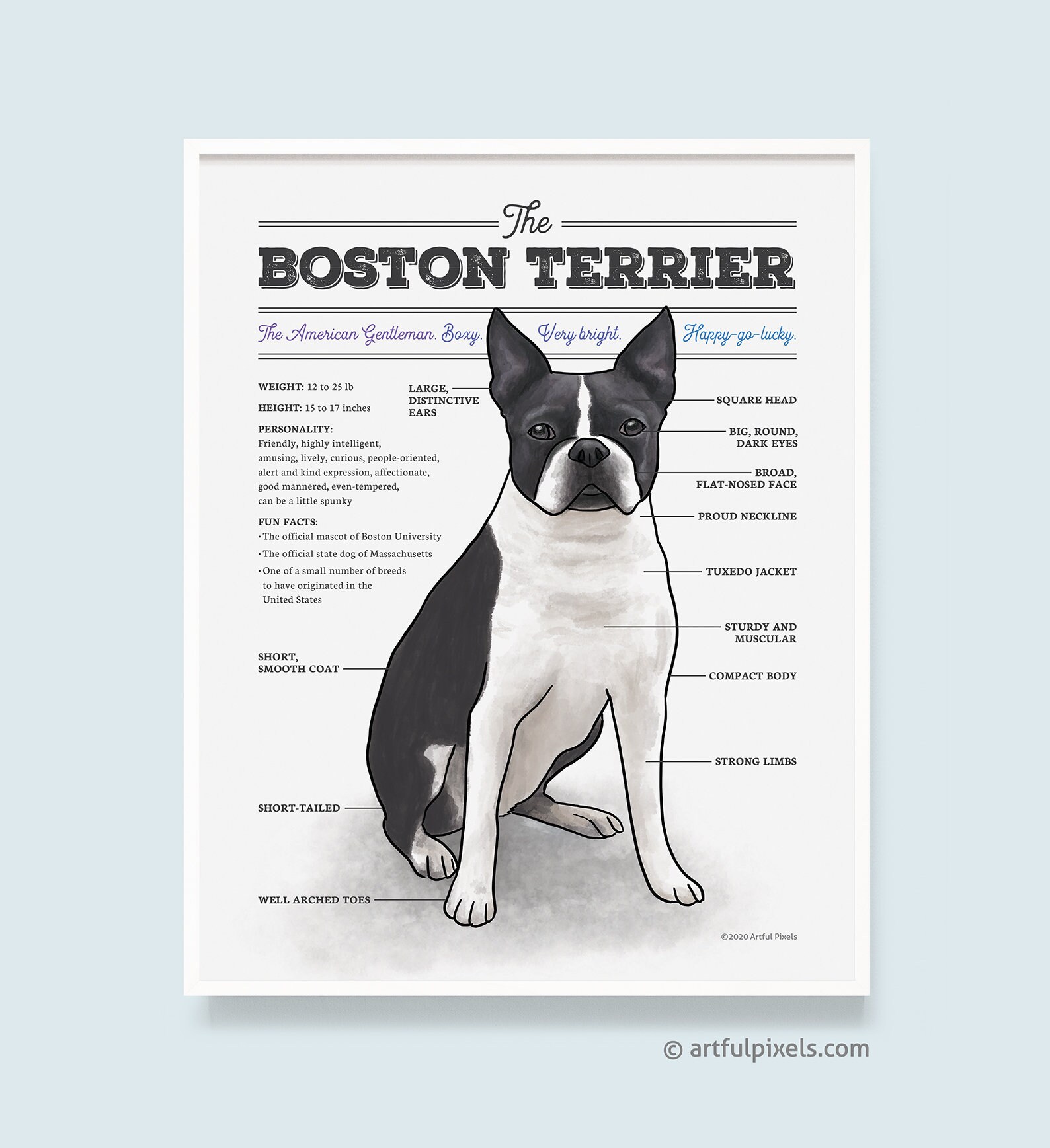 Boston Terrier Wall Art Dog Poster Boston Terrier Art Dog | Etsy
