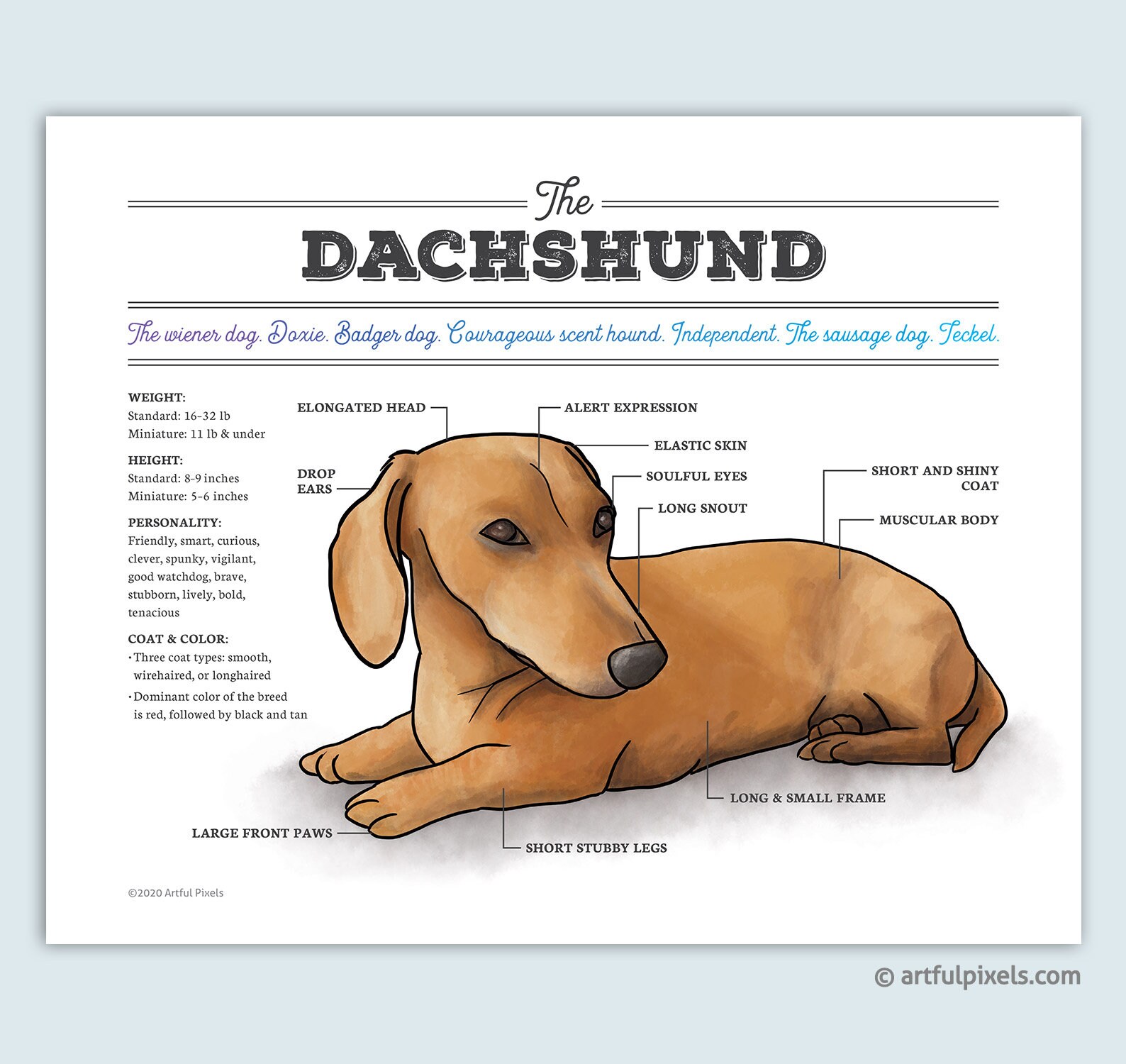 Dachshund Art, Weiner Dog Chart Poster, Dachshund Gift, Doxie Mom, Dog ...