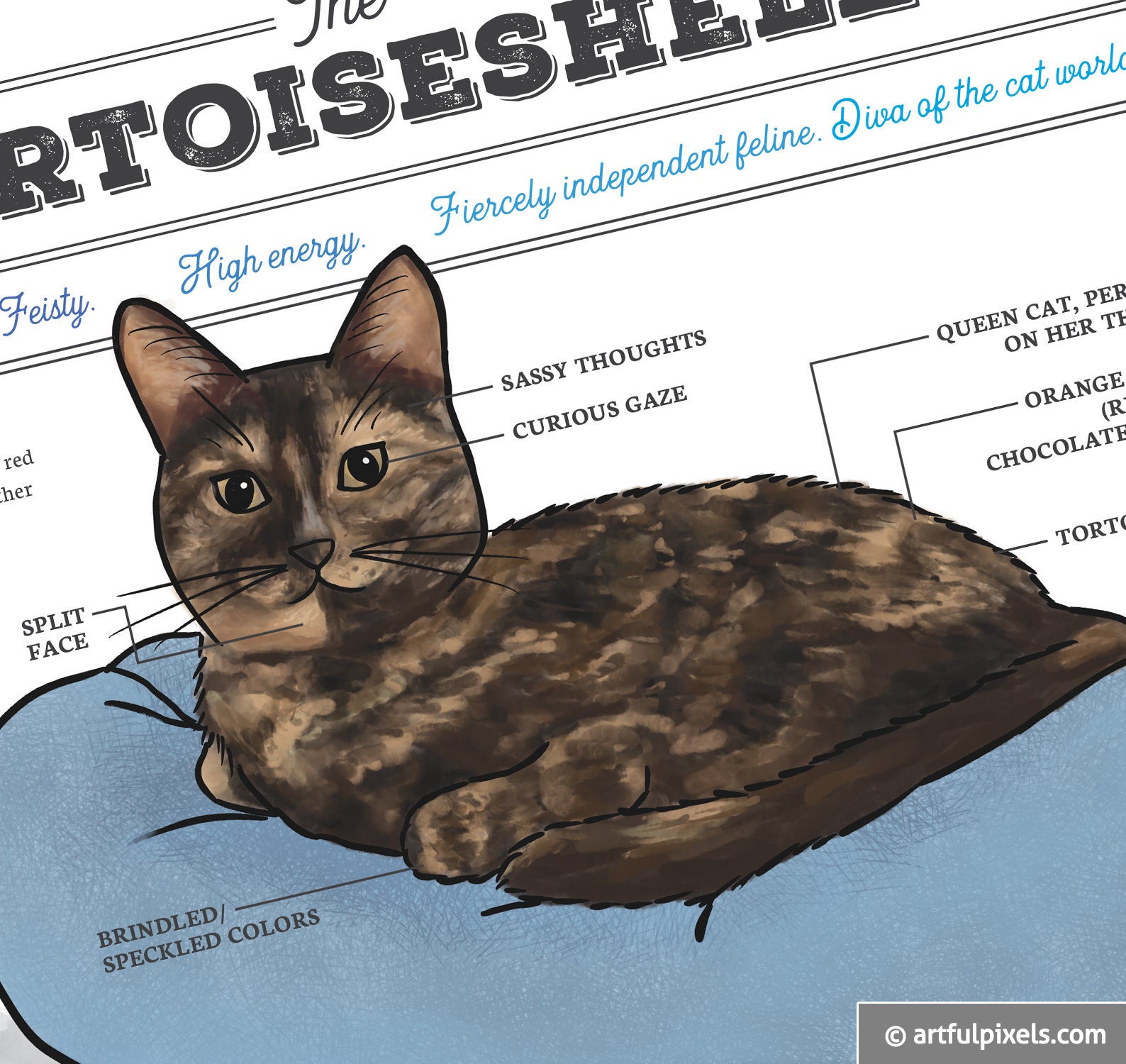 Tortoiseshell Cat Art, Tortie Cat Poster, Cat Breed Artwork, Funny Gift ...