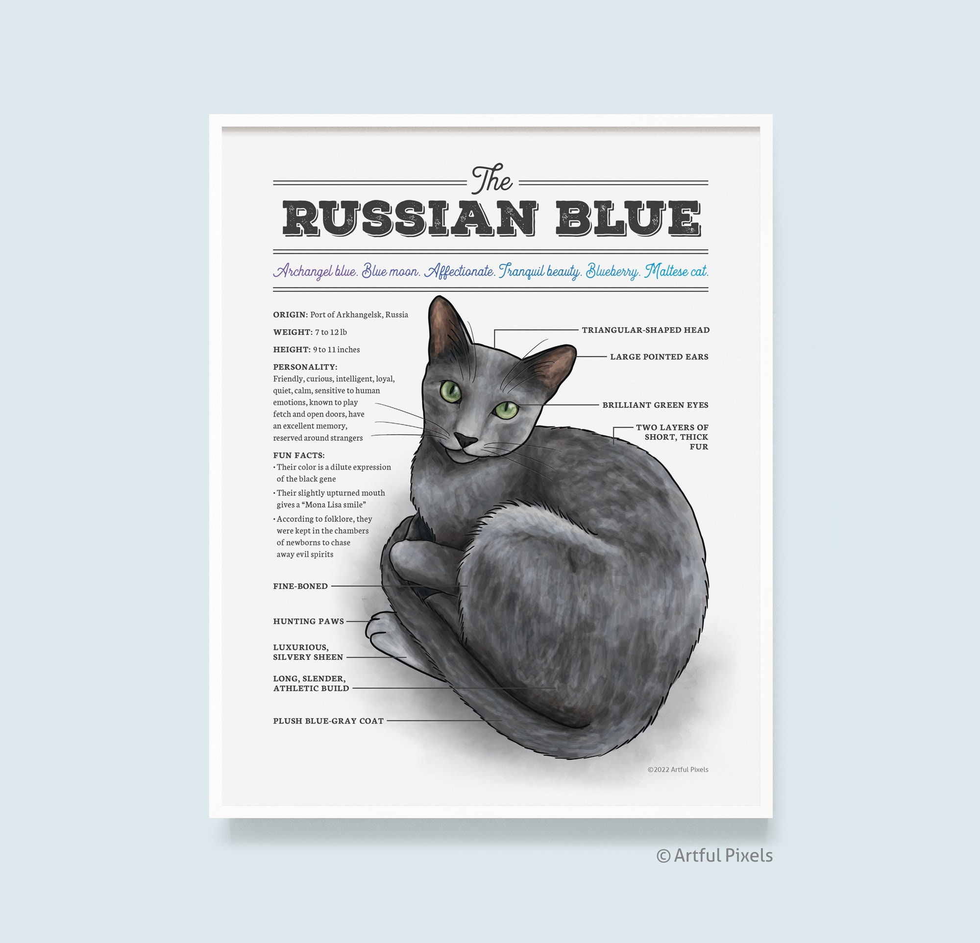 Cat Breed Poster