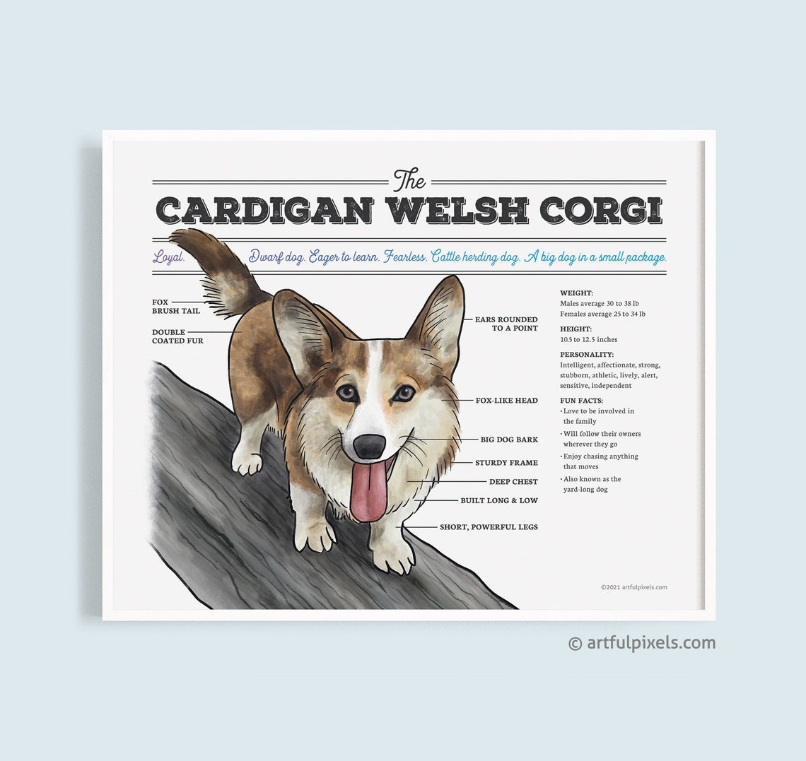 Corgi Dog Poster Cardigan Welsh Corgi Wall Art Corgi Gifts - Etsy
