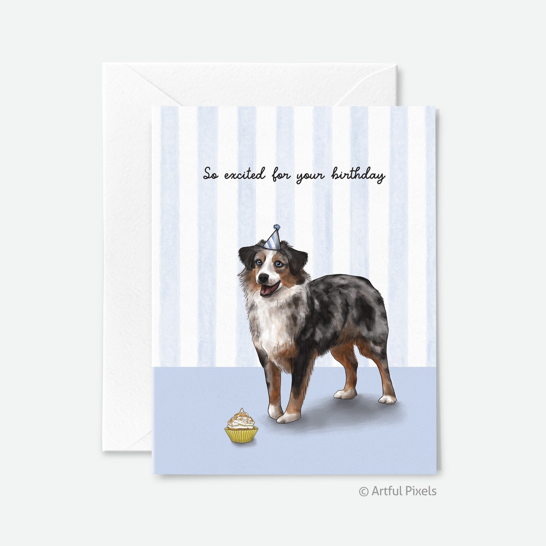 Blue Merle American Shepherd Birthday Card: Dog Lover Gift - Etsy