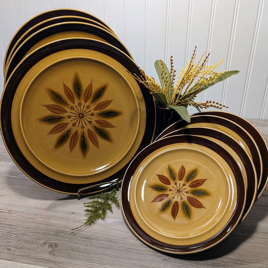 1970s Dinner Plates SET 4 W Salad Plates Stonecraft Sahara S 202 Fall ...