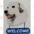 Goldendoodle Welcome Bone-plastic Canvas Pattern-pdf Download - Etsy