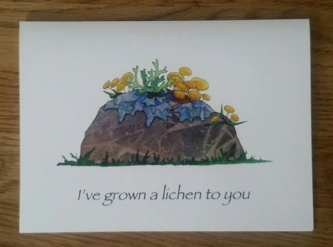 I've Grown a Lichen to You 5X7 Greeting Card, Pun Gift Card, Lichen ...