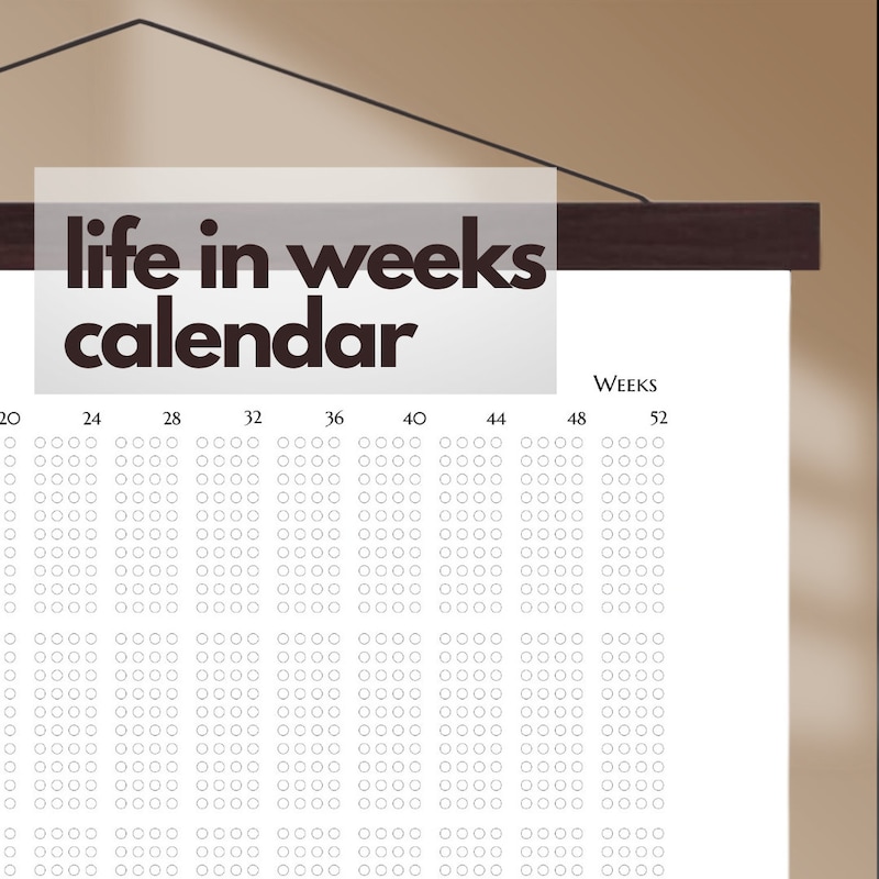 Life in Weeks Poster - Etsy