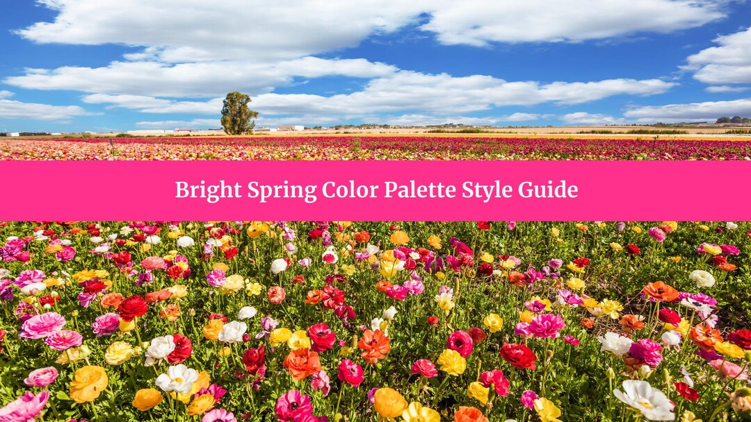 Bright Spring Color Palette Style Guide PDF | Personalized Seasonal ...