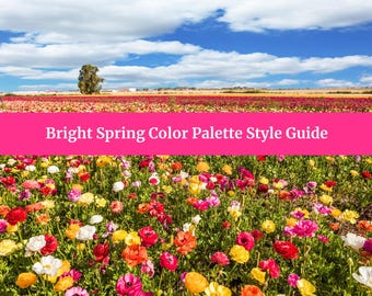 Light Spring Color Palette Style Guide PDF | Personalized Seasonal ...